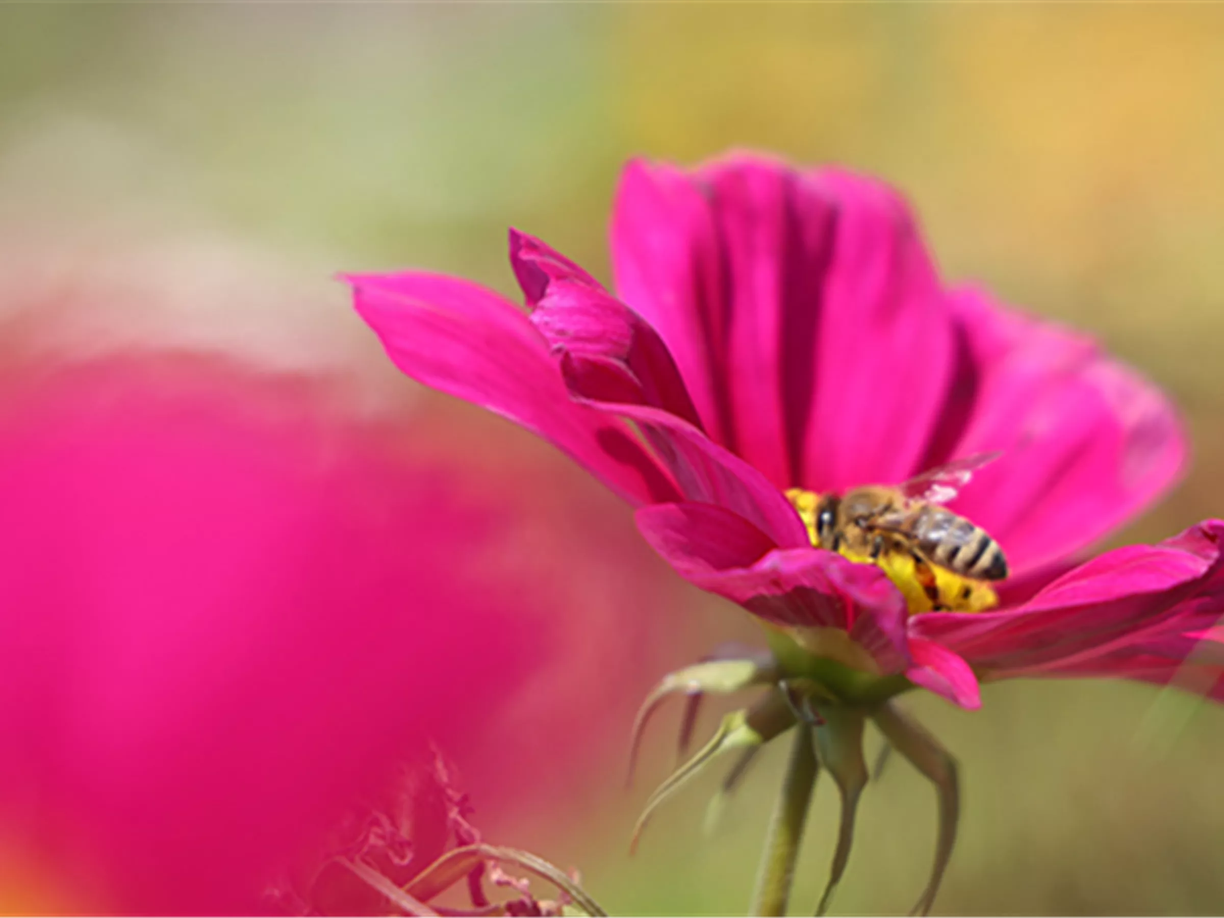 Startseite - volmary.com