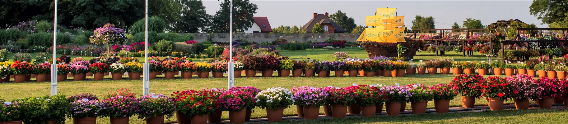 News and events - volmary.com