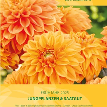 Kataloge - volmary.com