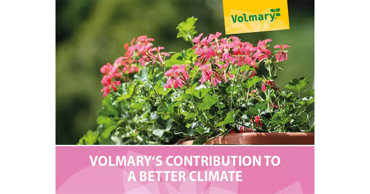 Volmary's contribution to a better climate